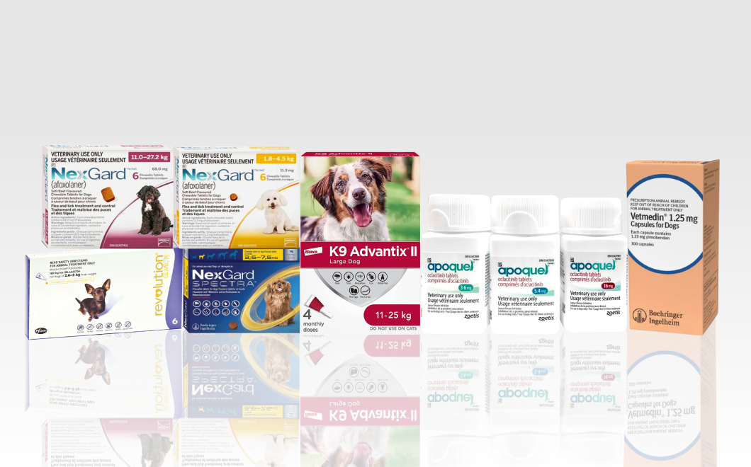 Come across our wide range of convenient & cost-effective veterinary ...